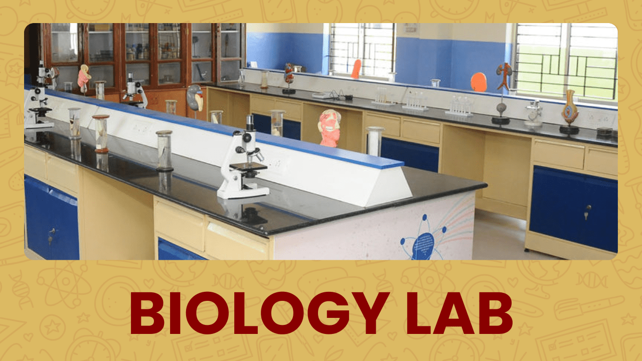 Academic – KVS JUNIOR COLLEGE